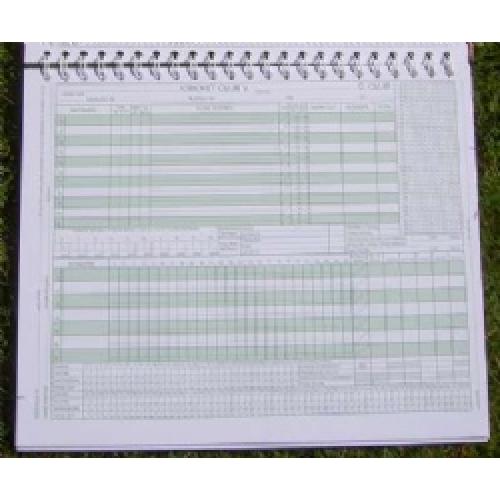 Scorebook 100 Innings